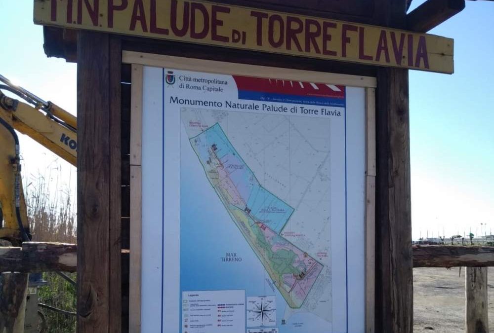 Studio dell'avifauna migratoria a Torre Flavia - Città metropolitana di ...